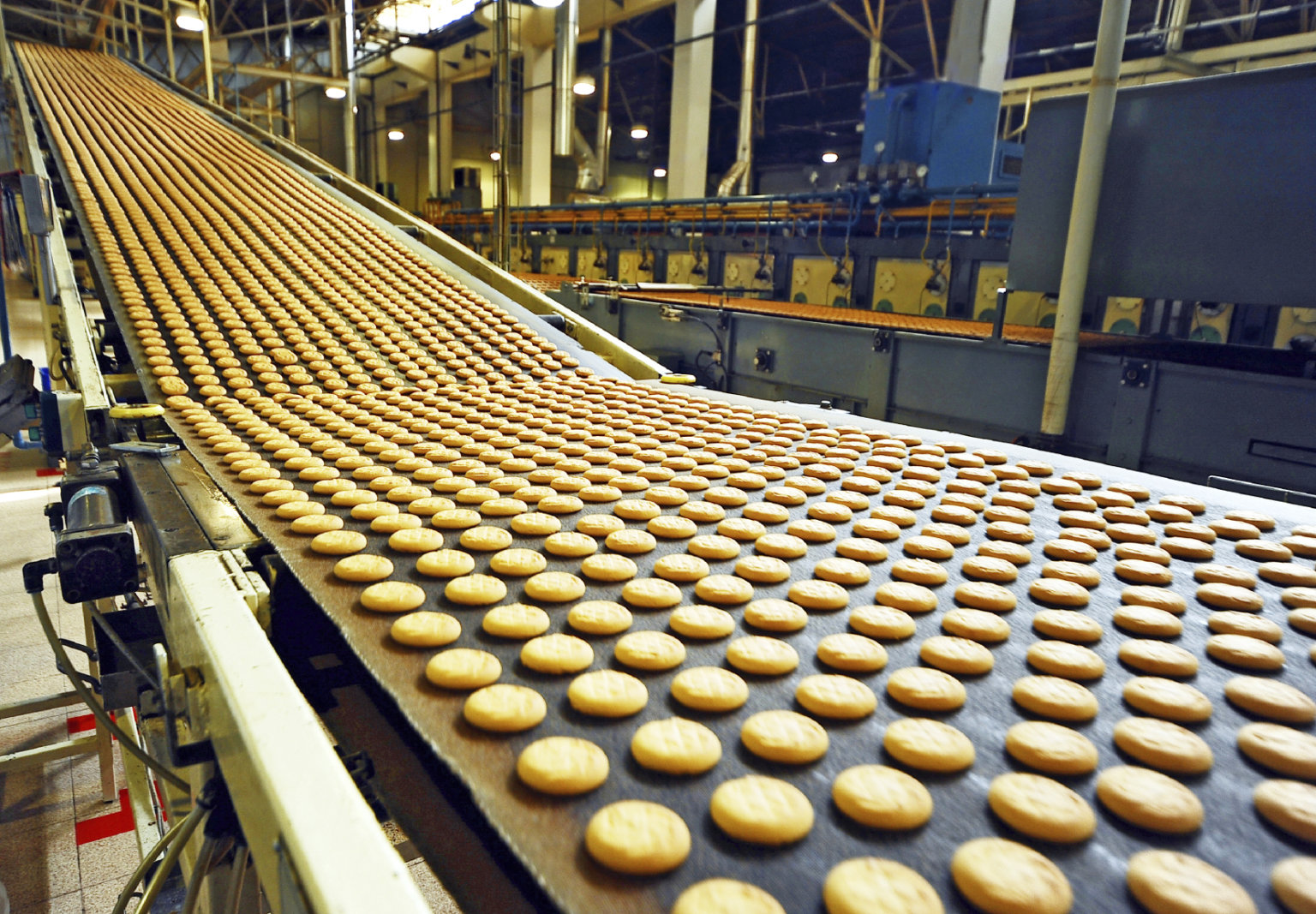 Ruchi Soya to acquire biscuits business from Patanjali Natural Biscuits ...